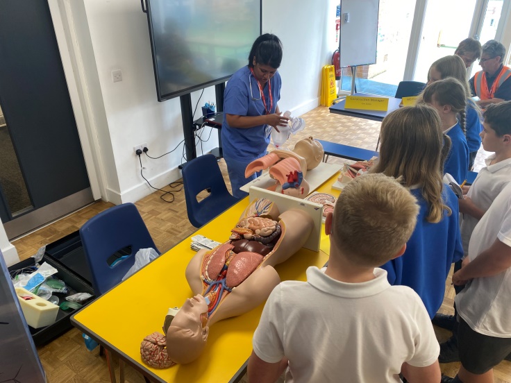 Careers Fair - Healing Primary Academy - Harbour Learning Trust